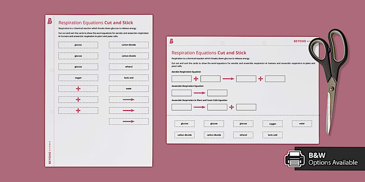 Respiration Equation Cut and Stick (teacher made) - Twinkl