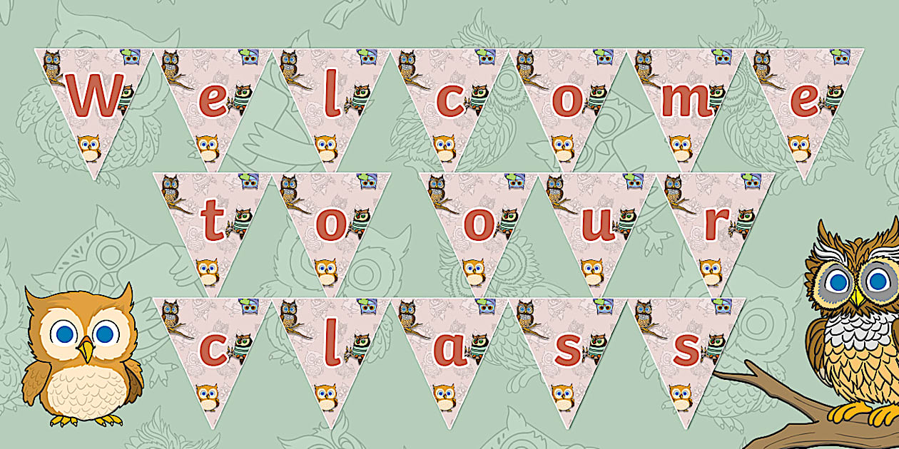 Owl Theme Welcome to my Classroom Bunting (teacher made)