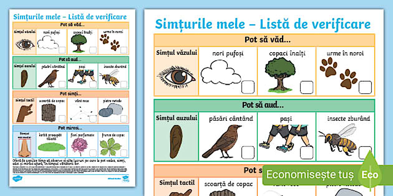 Simțurile mele: Vânătoare de comori – Listă de verificare