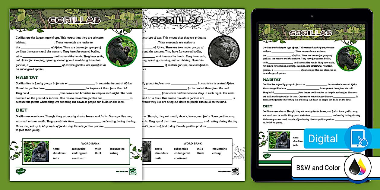 Fourth Grade Gorillas Cloze Reading Worksheet (teacher made)