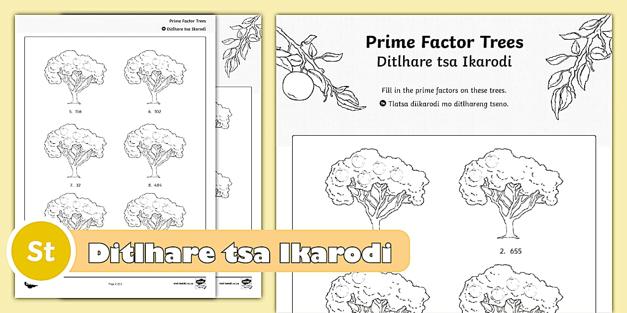 Grade 7 Maths - Term 1 - Prime Factor Trees Setswana/English