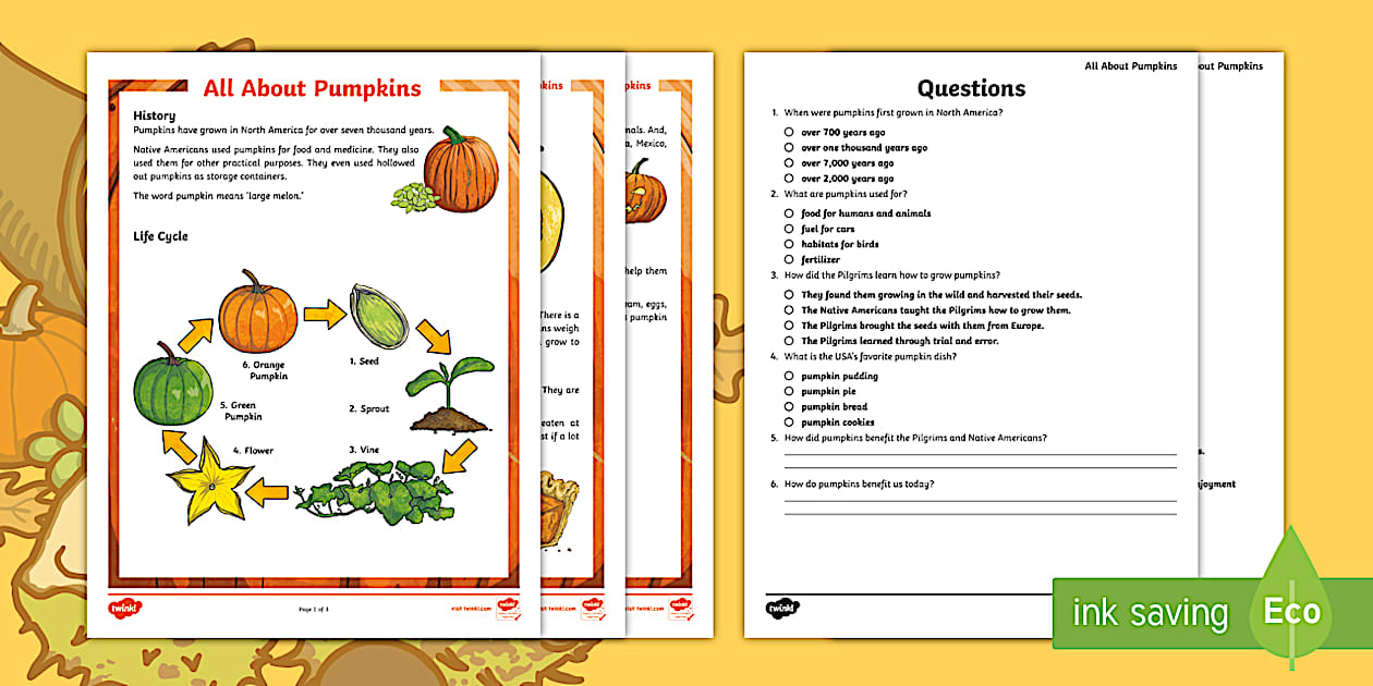 Third Grade All About Pumpkins Reading Comprehension Worksheet