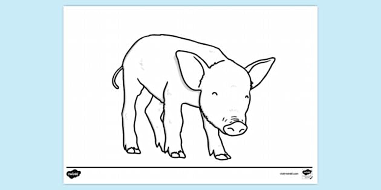 Piglet Colouring Page | Colouring Sheets (Teacher-Made)