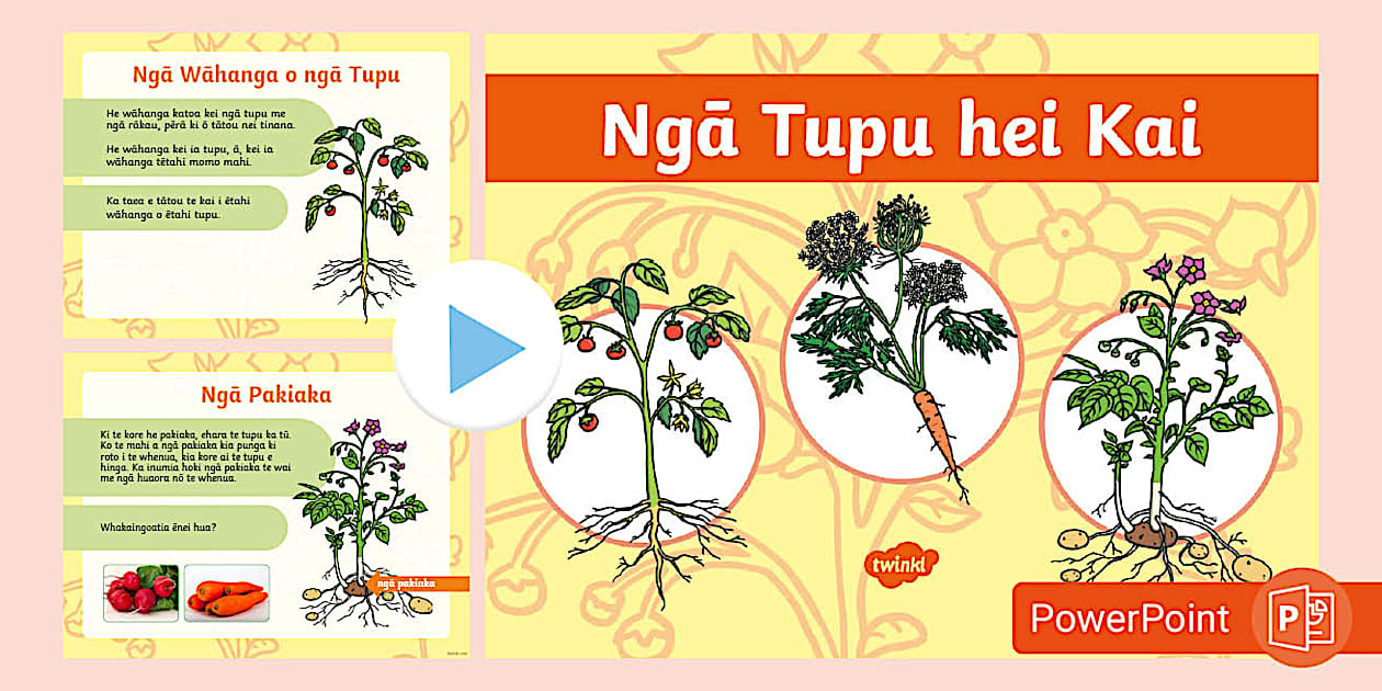 Ngā Tupu Hei Kai - Plants We Eat - Powerpoint - Twinkl