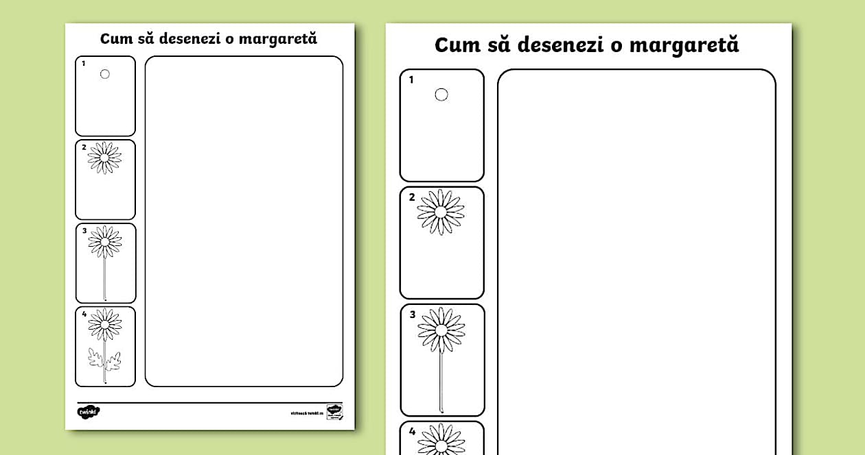 Cum să desenezi o margaretă – Desen în creion începători