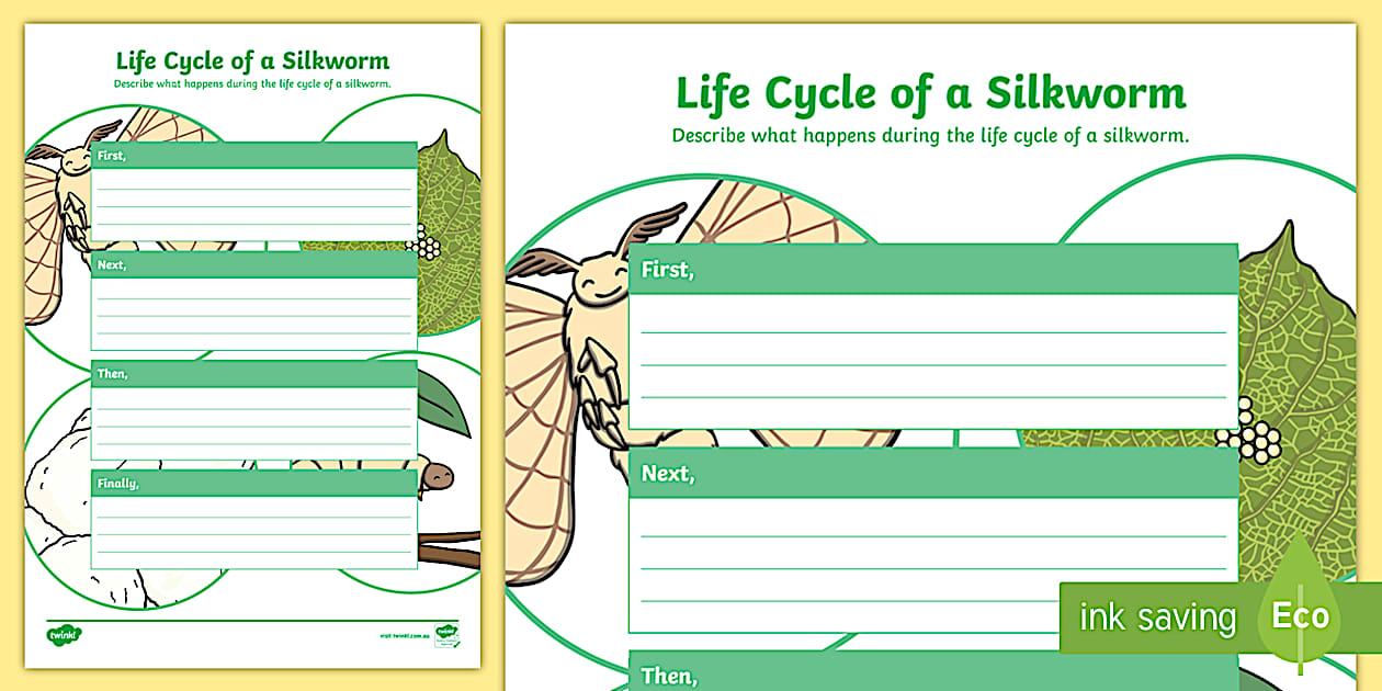 VIC F-2 Silkworm Life Cycle Writing Frame Worksheet - Twinkl