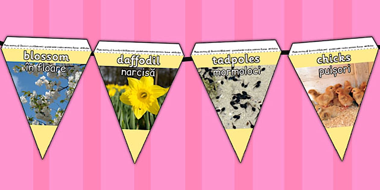 Spring Display Photo Bunting Romanian Translation - seasons