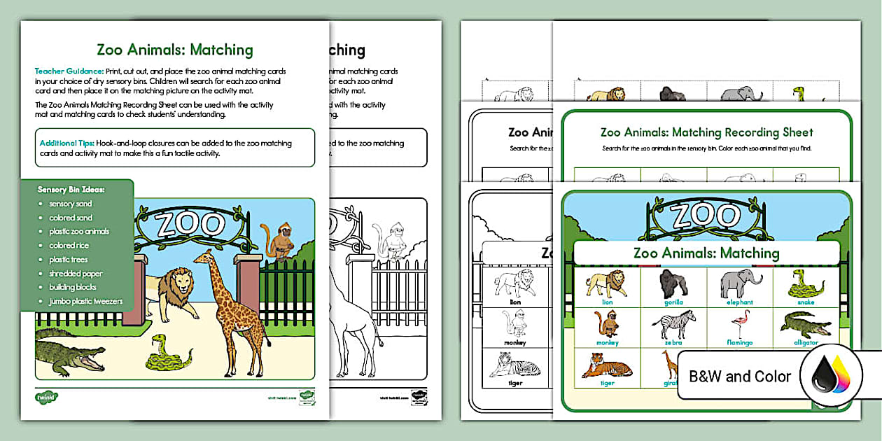 Zoo Animals Sensory Bin Matching Activity Mat (teacher made)