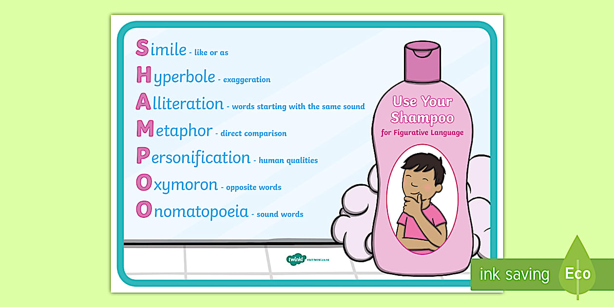 Black and White Use your Shampoo for Figurative Language Display Poster