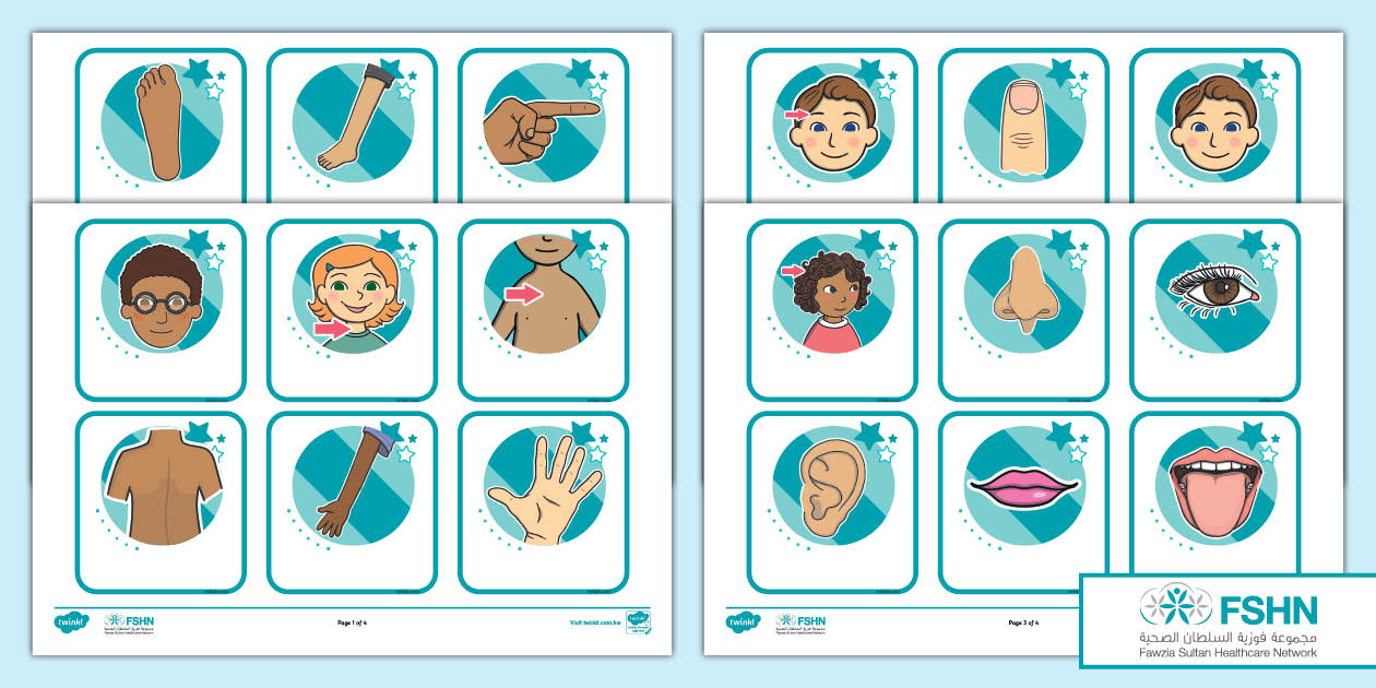 FREE! - Body Parts Flashcards (Images Only) | Speech Therapy Resource ...