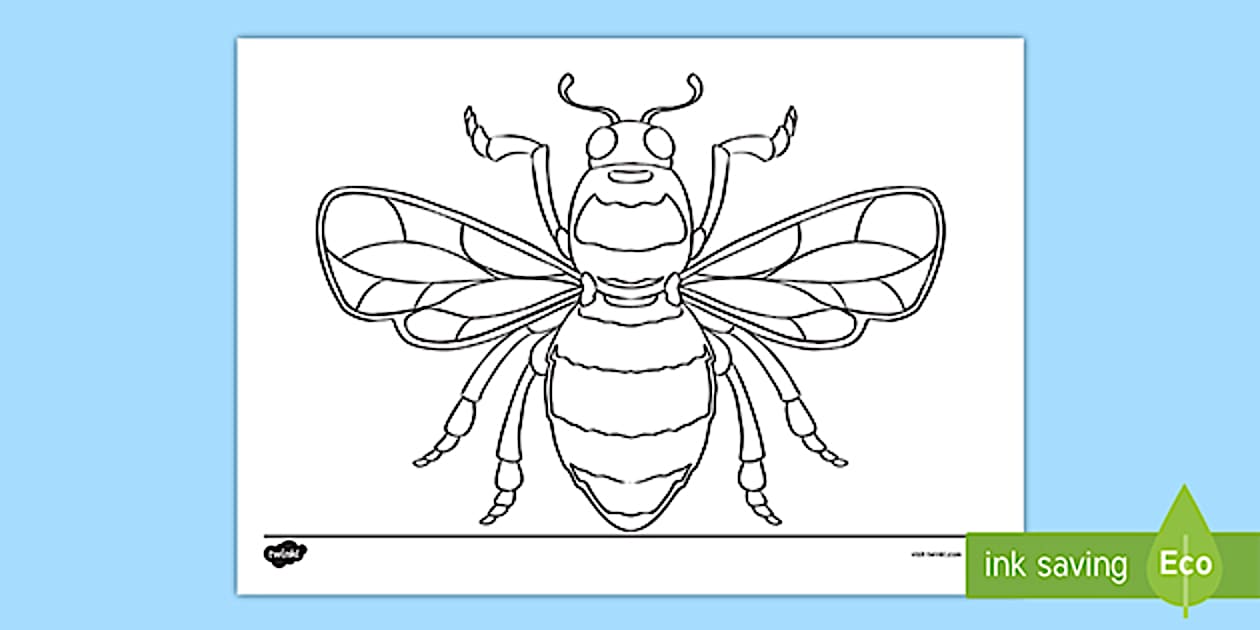 Bee Colouring Sheet - Bee Template - World Bee Day - Twinkl
