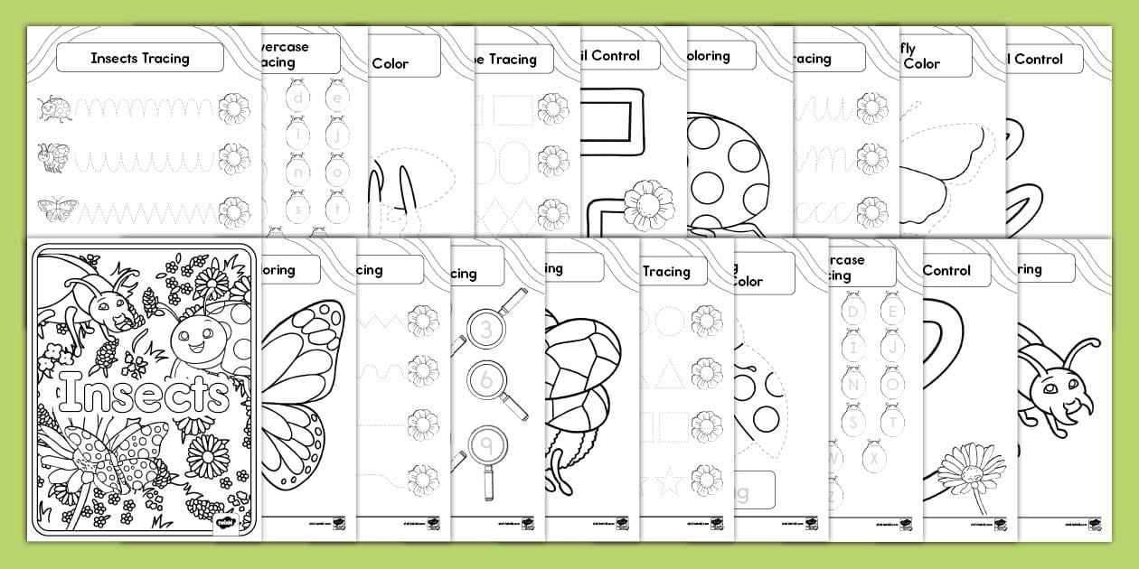 Insects Toddler Busy Book (teacher made) - Twinkl