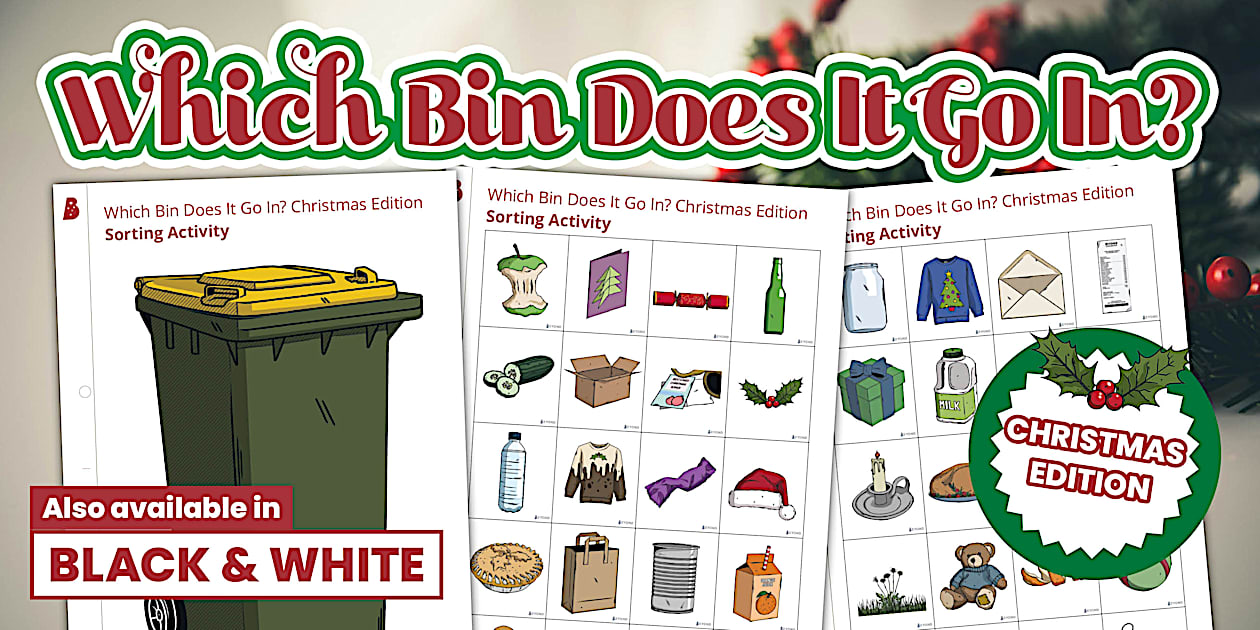 Which Bin Does It Go In? Christmas Edition