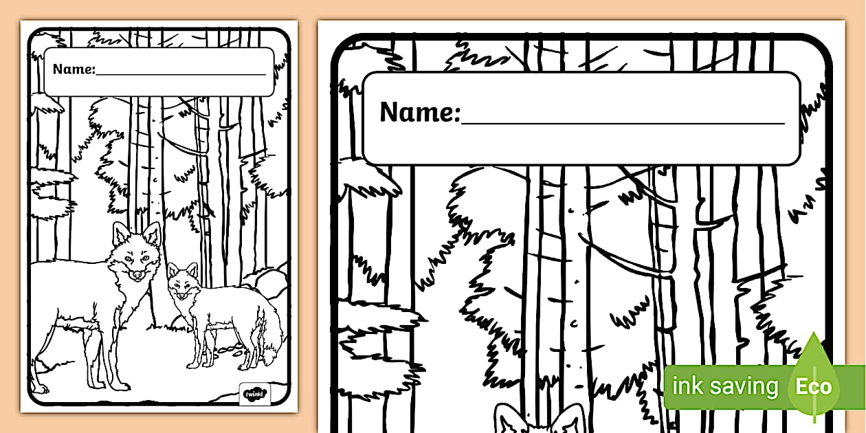Fox Colouring Book Cover | Twinkl KS1 | Stationery | Animals