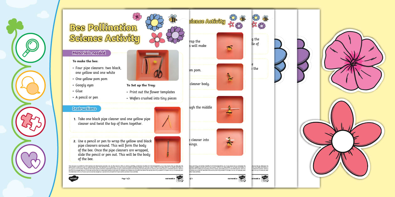Bee Pollination Science Activity (teacher made) - Twinkl