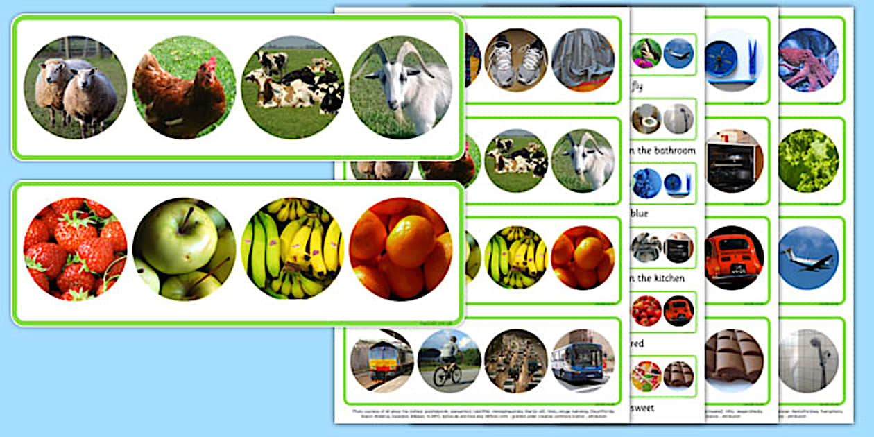 Photo Guess The Category Activity (Teacher-Made) - Twinkl