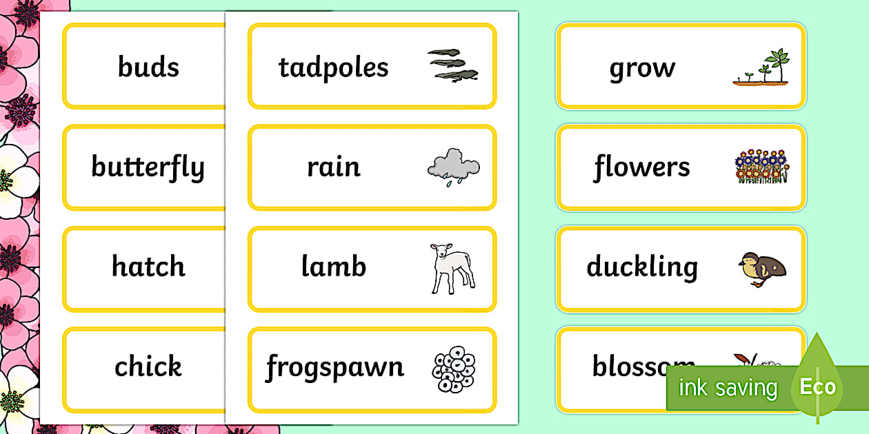 Springtime Word Cards (teacher made) - Twinkl
