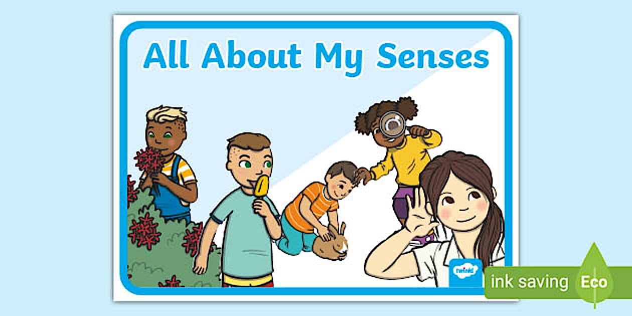 All About Me: My Senses Display Poster - Twinkl