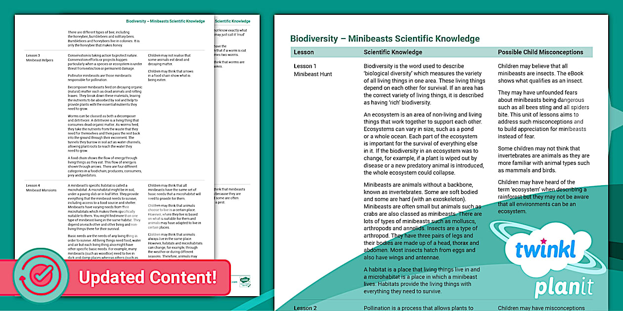 Science: CPD Biodiversity – Minibeasts: Year 2 - Twinkl