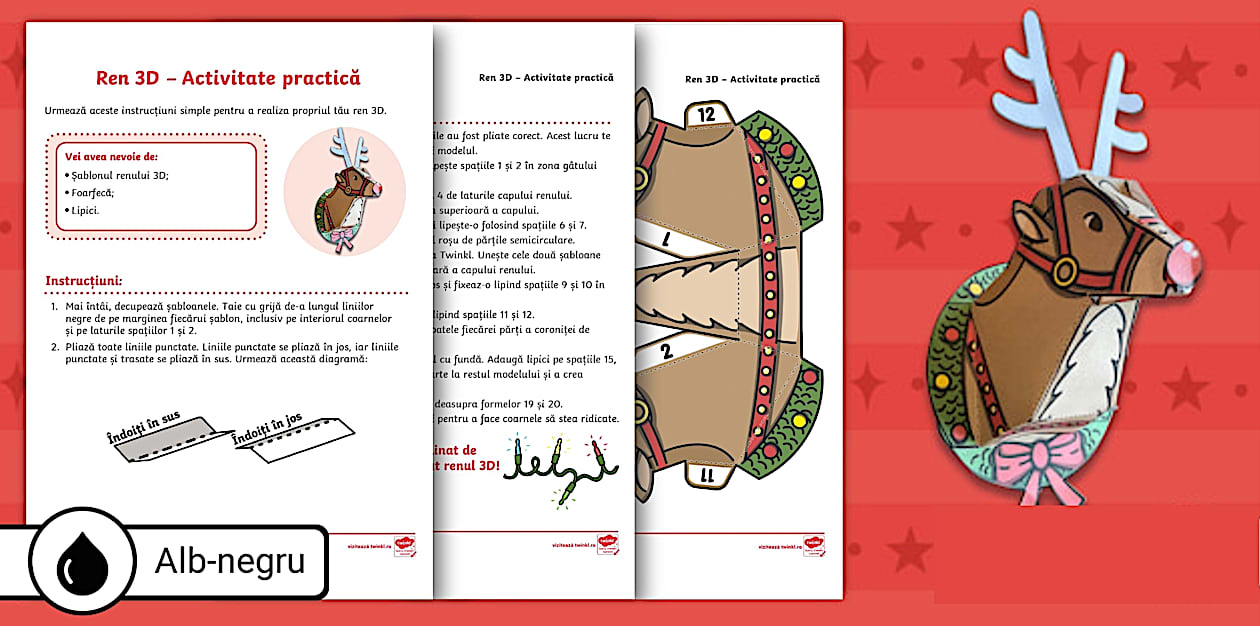 Ren 3D – Activitate practică (teacher made) - Twinkl