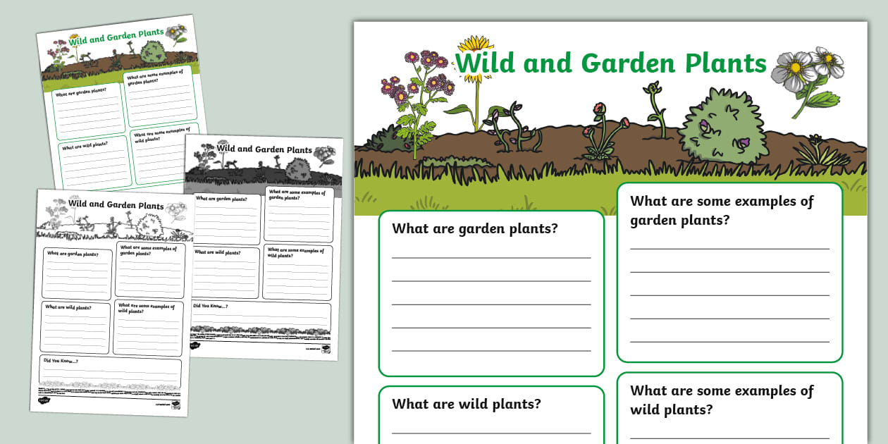 Wild and Garden Plants Fact File Template (teacher made)
