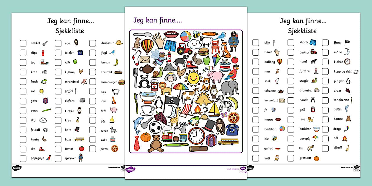 Jeg kan finne... Aktivitetsark (teacher made) - Twinkl