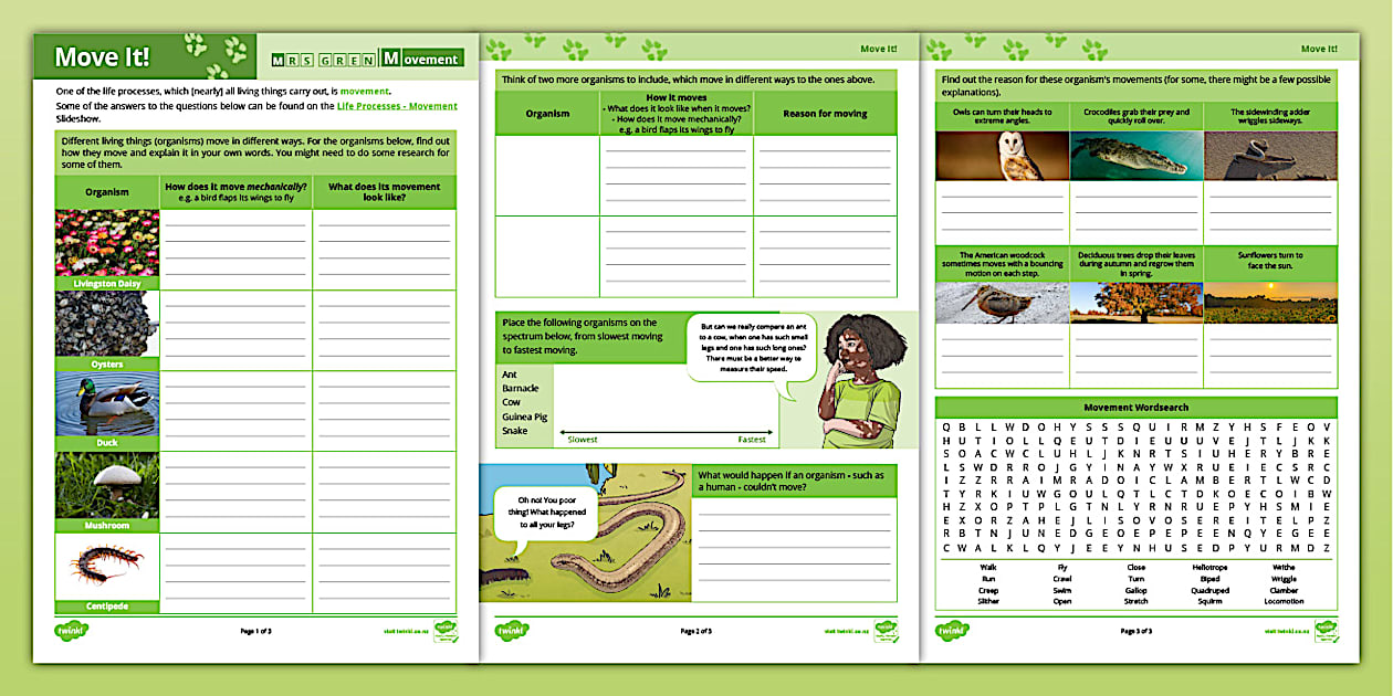 Year 7-8 Life Processes - Movement Activity (teacher made)