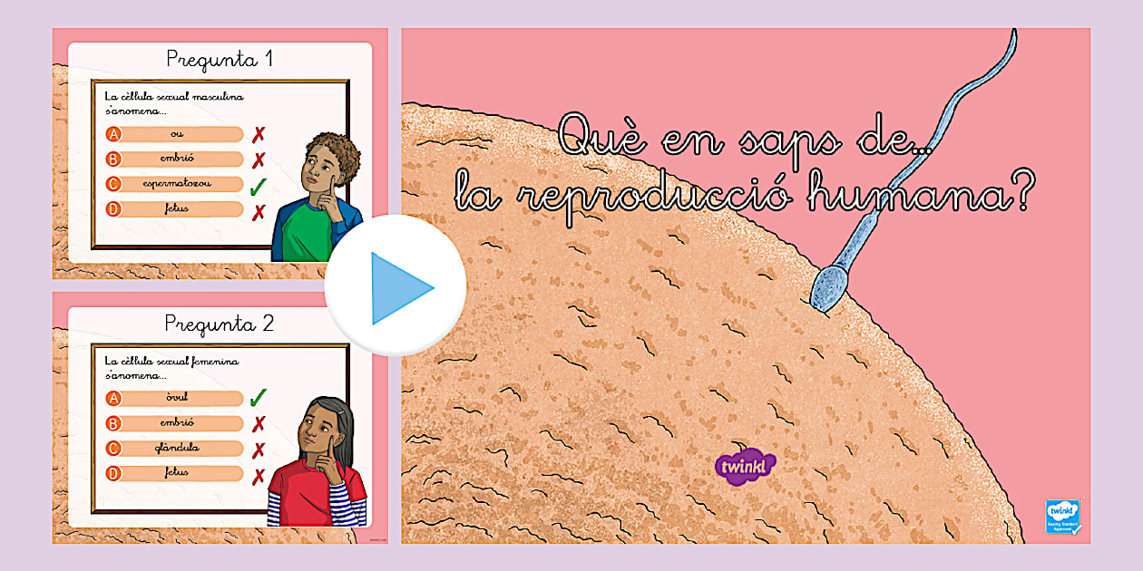 Qüestionari: Què en saps de la reproducció humana? - Català