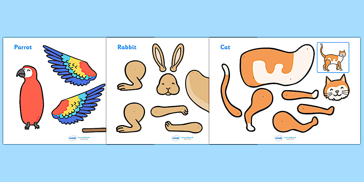 Split Pin Pets (teacher made) - Twinkl