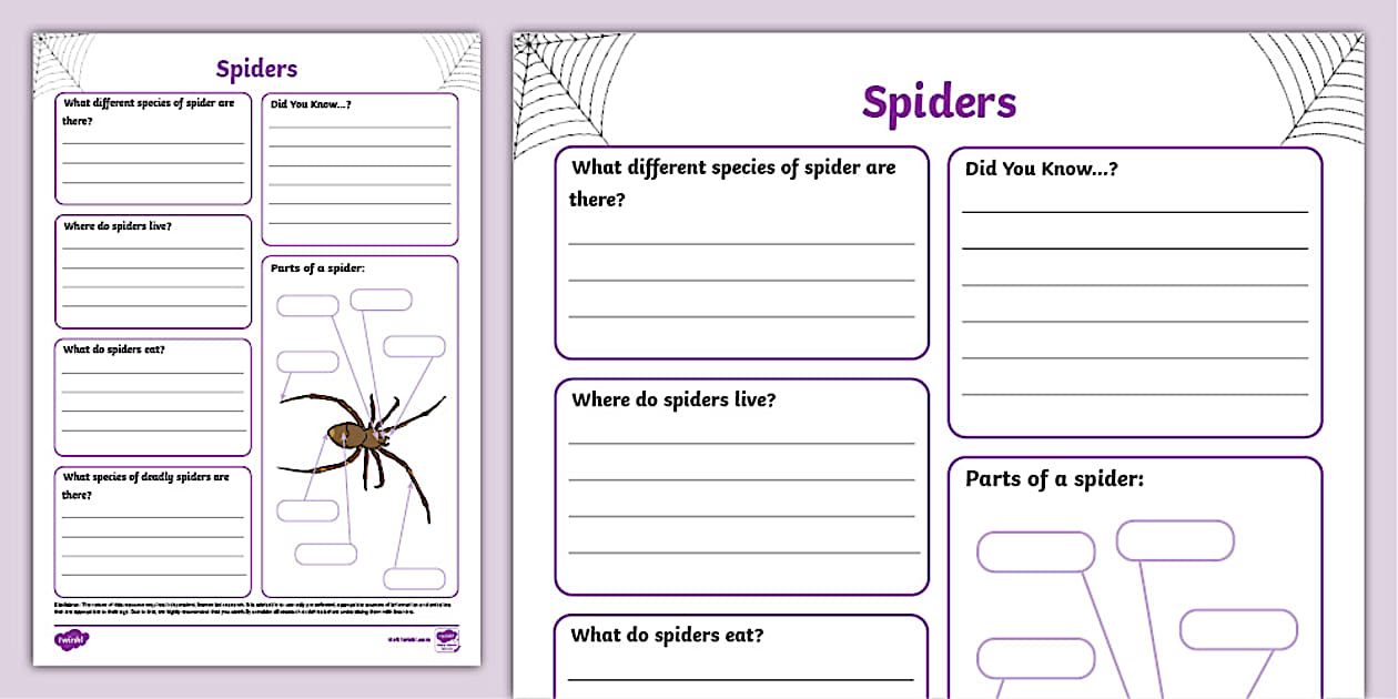 Spiders Fact File Template - all about spiders - Twinkl