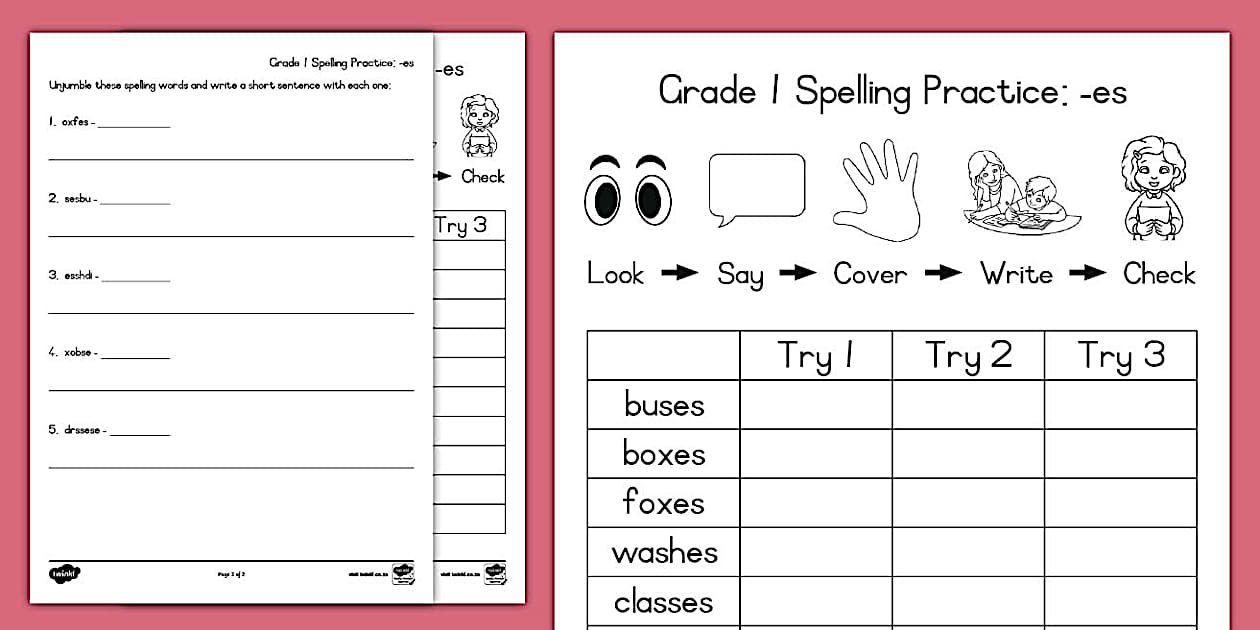 Grade 1 English -Phonics - Worksheet: Spelling Practice -es