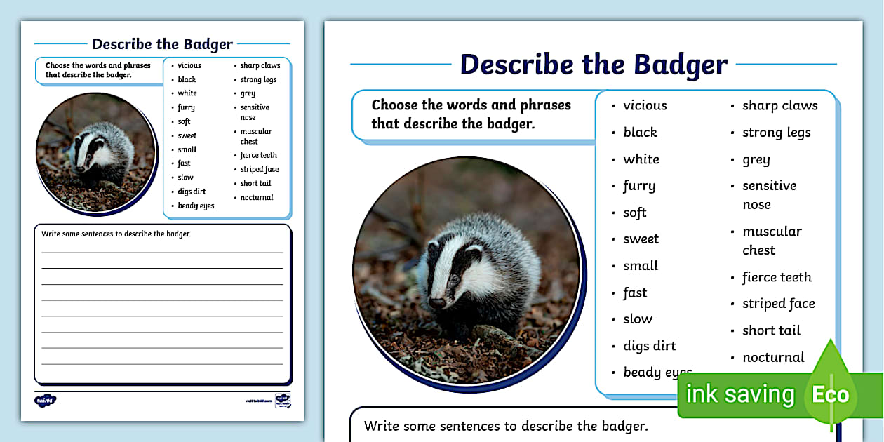 Describe the Badger,badger - Twinkl