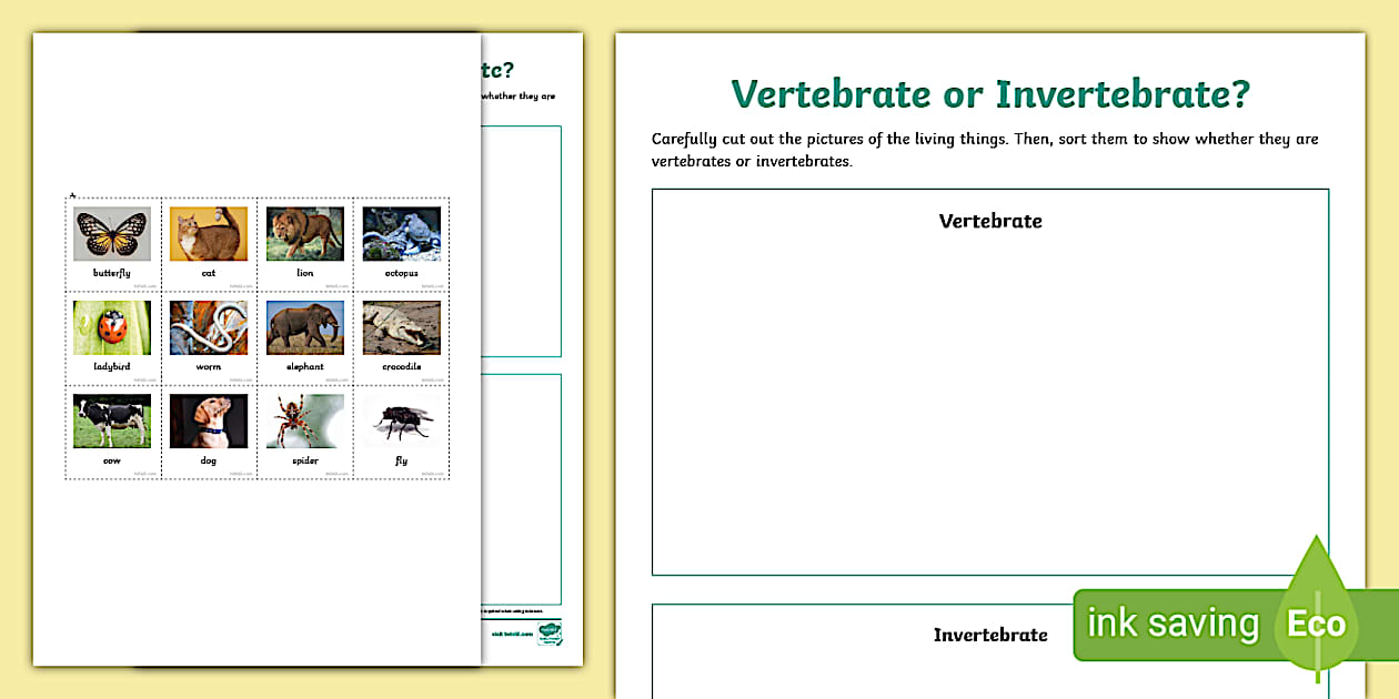 Vertebrate or Invertebrate Sorting Worksheet (teacher made)