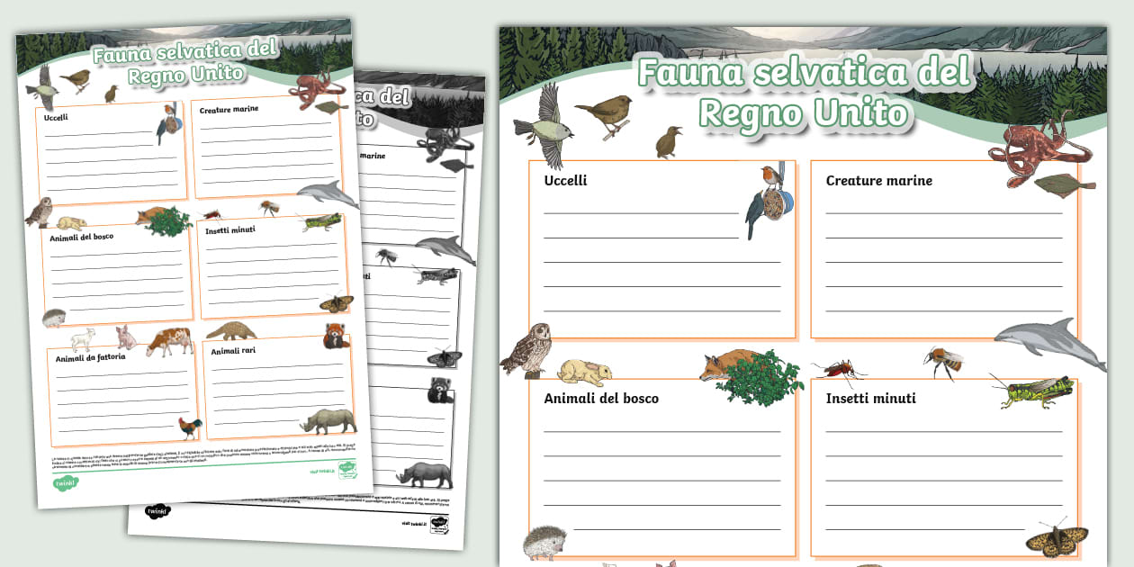 Modello di scheda informativa: La fauna selvatica del Regno Unito