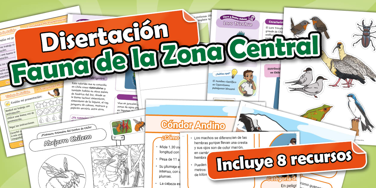 Pack Recursos | Disertación | Fauna de Chile | Zona Central