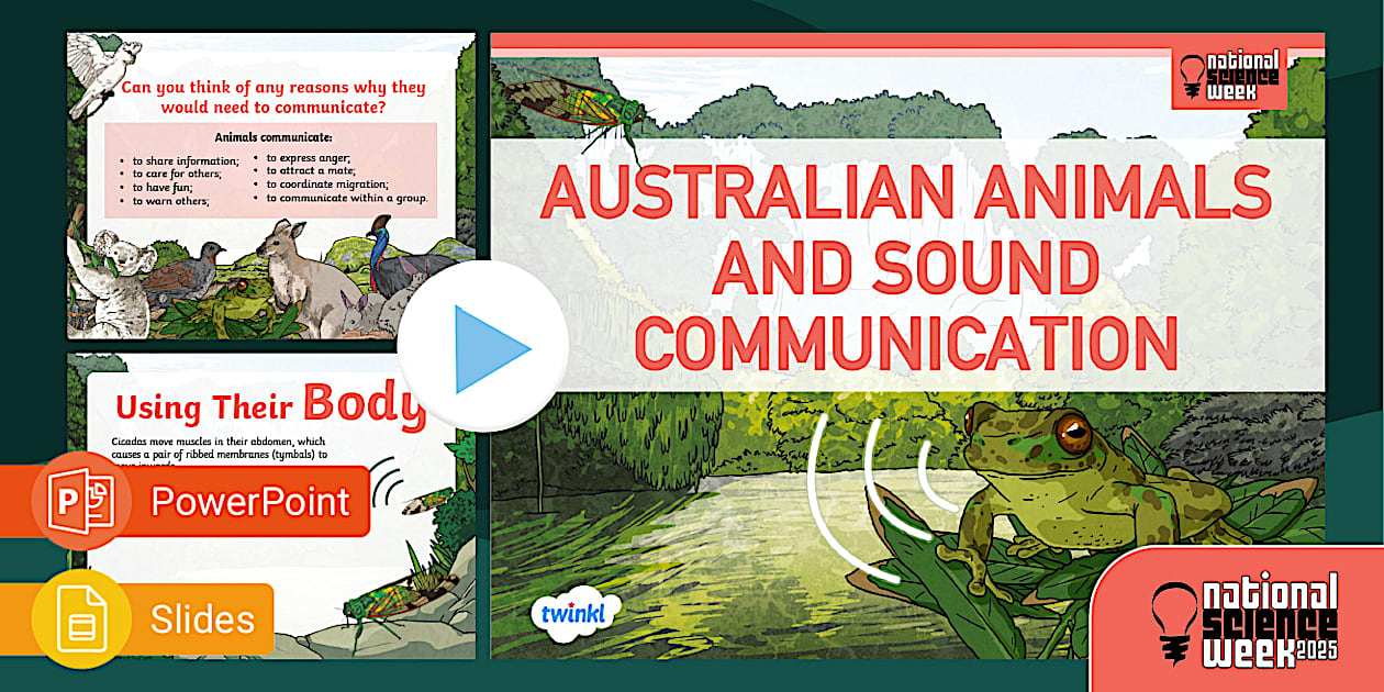 Australian Animals and Sound Communication PowerPoint