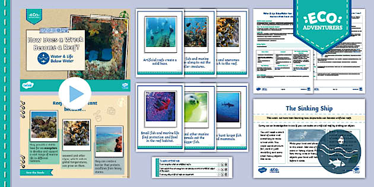 Year 3 Water & Life Below Water: Lesson 5 - How Does a Wreck Become a Reef?