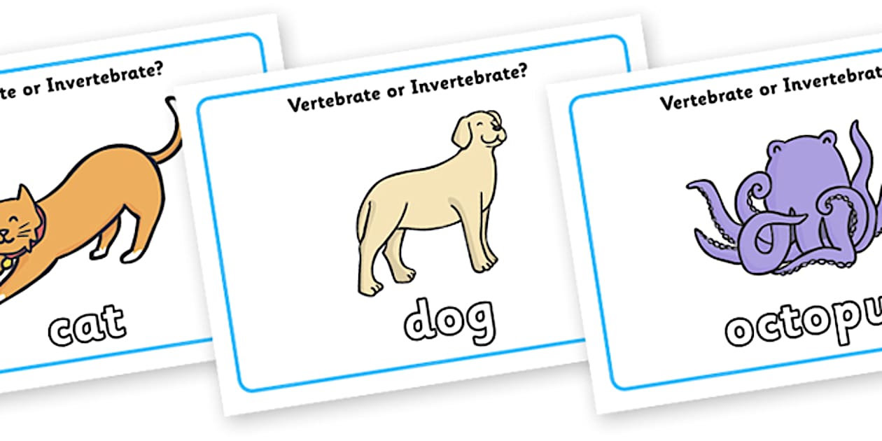 Vertebrate Or Invertebrate Display Posters (teacher made)