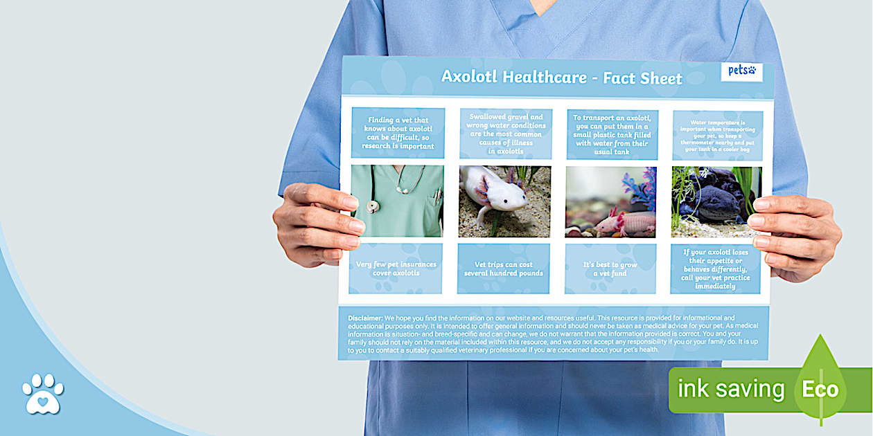 Axolotl Healthcare - Fact Sheet - Axolotls - Twinkl Pets