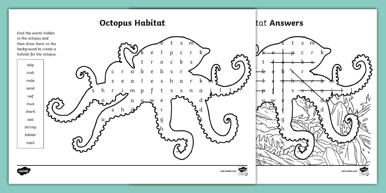 Octopus Habitat Word Search and Drawing Activity Sheet