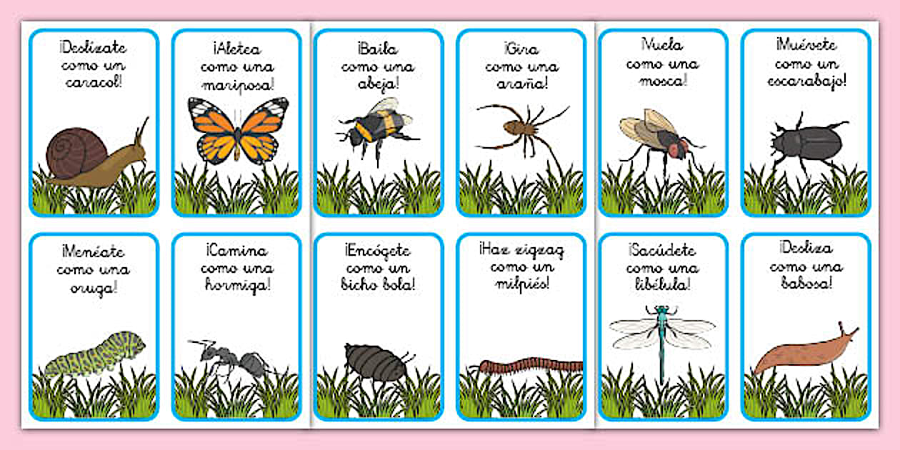 Editable Tarjetas para moverse: Bichos - Educación Física