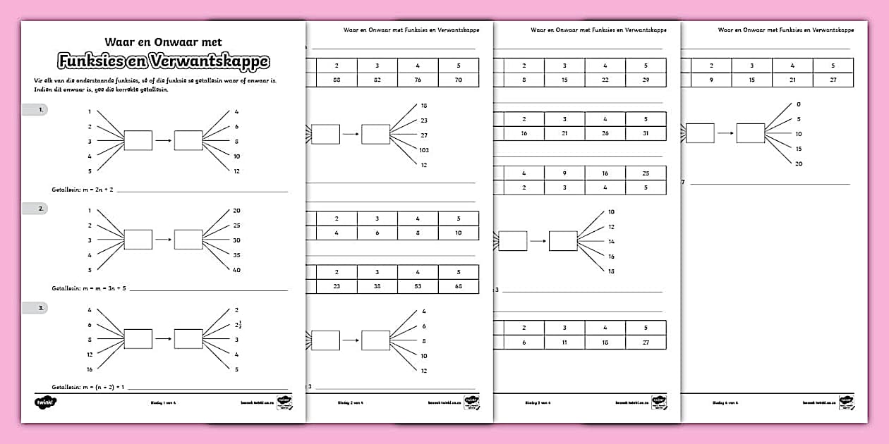 Waar en Onwaar met Funksies en Verwantskappe Werkkaart