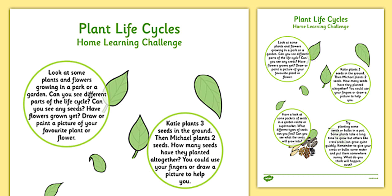 EYFS Plant Life Cycles Home Learning Challenges Nursery