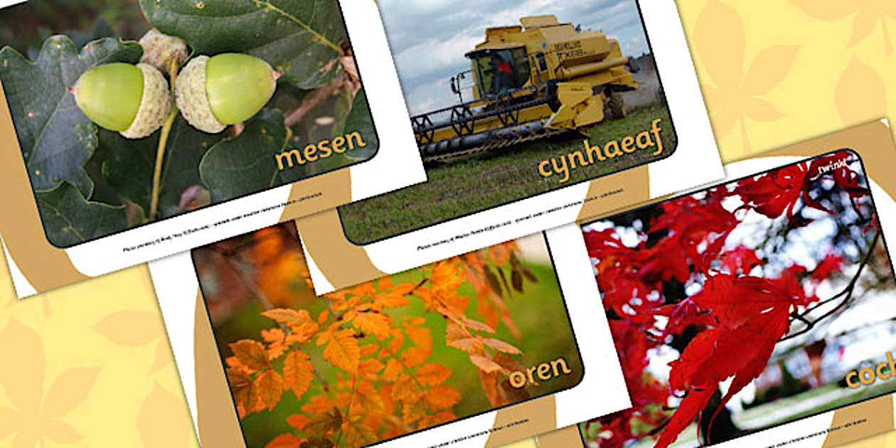 Autumn Display Photos Welsh Translation (teacher made)