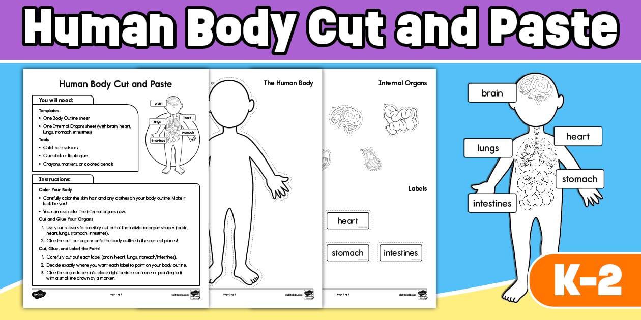 Human Body Collage Cut and Paste Craft for K-2nd Grade