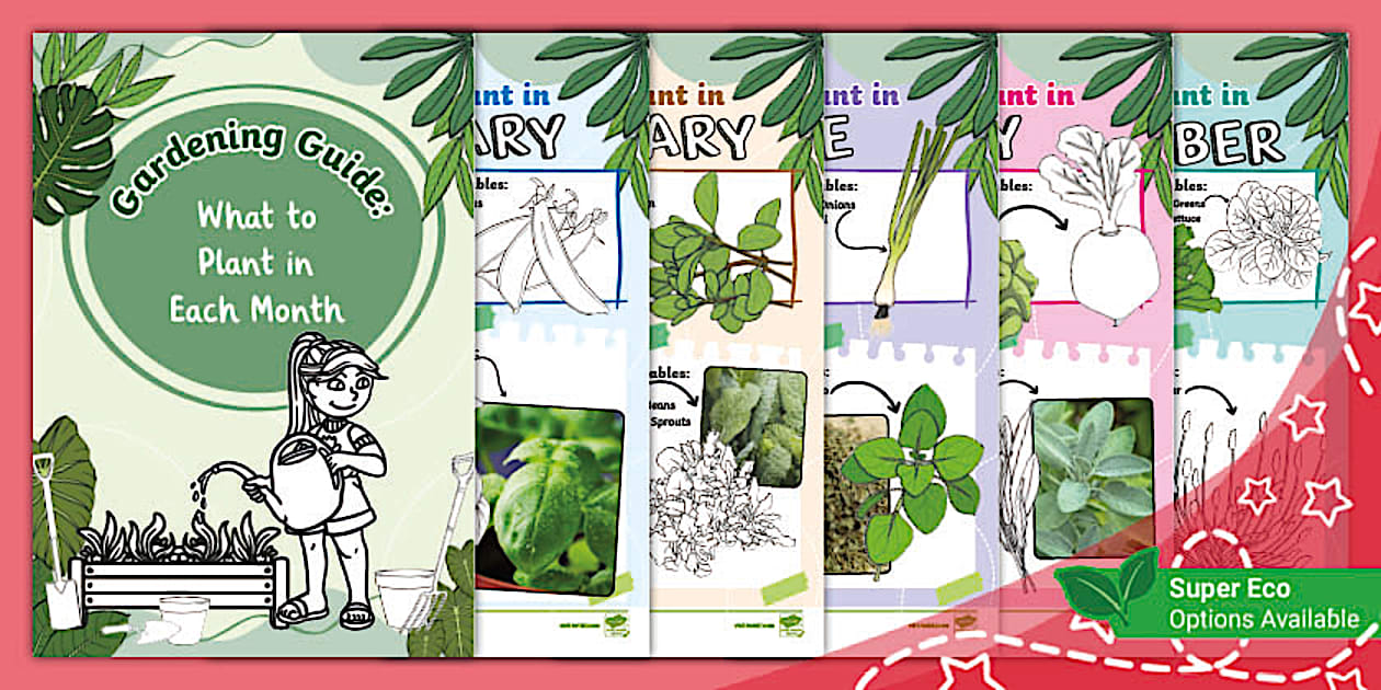 Gardening Guide: What to Plant in Each Month (Teacher-Made)
