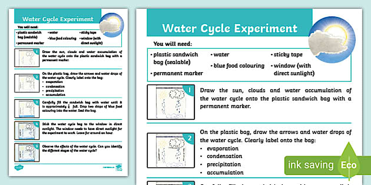 Water Cycle Experiment | Water Cycle STEM Activity - Twinkl