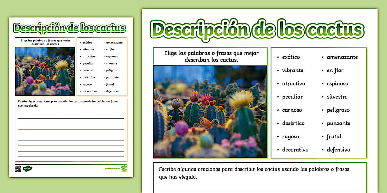 Hoja de actividad: Describir los cactus - Twinkl