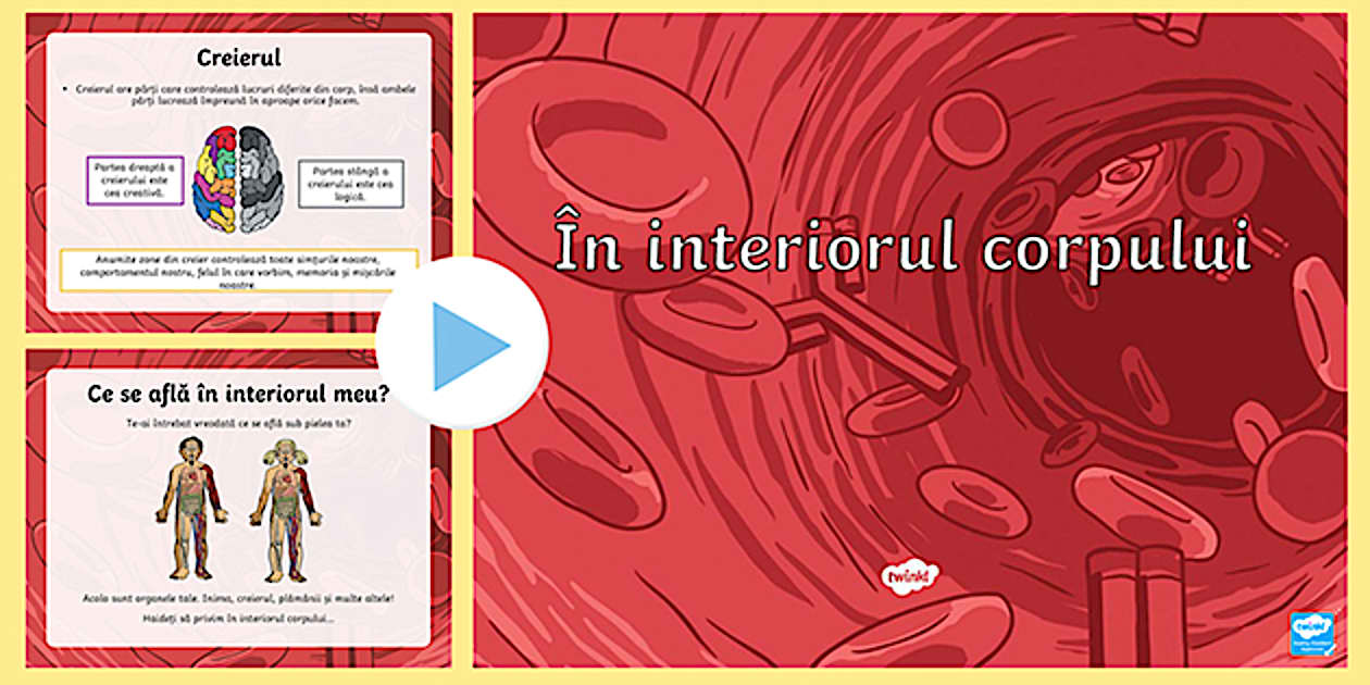 Corpul uman pe înțelesul copiilor - PowerPoint | Twinkl RO