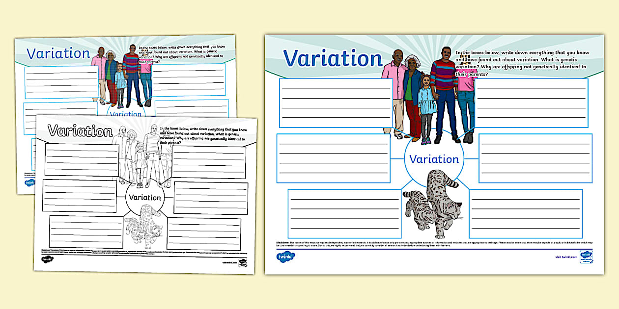 Variation Mind Map (Hecho por educadores) - Twinkl